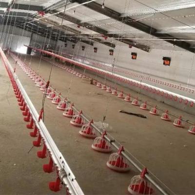 China 22ton 220V Auger Automatic Pan Feeding System Shed for sale