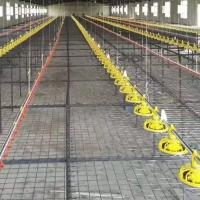 China 22ton 220V Auger Automatic Pan Feeding System Shed for sale