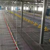 China 66kg Galvanized Chicken Feeder for sale