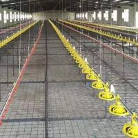 China 66kg Galvanized Chicken Feeder for sale