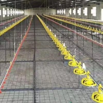 China 66kg Galvanized Chicken Feeder for sale