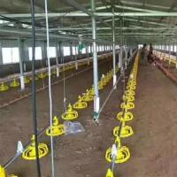China 304 SS Broiler Breeder Farm Nipple System In Poultry Farm for sale