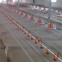 China 304 SS Broiler Breeder Farm Nipple System In Poultry Farm for sale