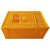 China Poultry Broiler Quail Pigeon Plastic Chicken Transport Cages for sale