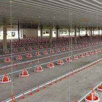 China 0.75kw Closed System Of Feeding In Poultry for sale