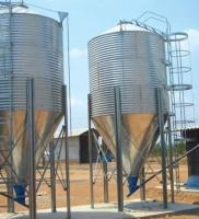 China Automatic Pan Feeding System Poultry Farm Equipment for sale