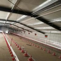China Automatic Pan Feeding System Poultry Farm Equipment for sale