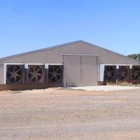 China Automatic Chicken House Broiler Poultry Farm Equipment for sale