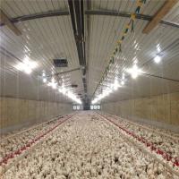 China Broiler Breeder House Stainless Poultry Farm Equipment for sale