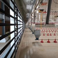 China Broiler Automatic Feeder Chain Feeding System Poultry for sale