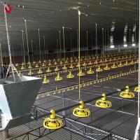 China Farm Breeder Houses Male Broiler Chicken Equipment for sale