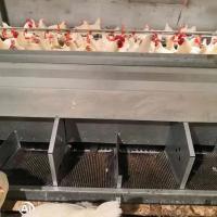 China 24 Holes PVC Pipe Chicken Feeders And Water Systems for sale