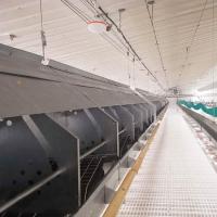 China Broiler Automatic Feeder Chicken Breeding Equipment for sale