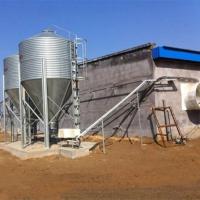 China Broiler Breeder Automated Poultry Feeding System for sale