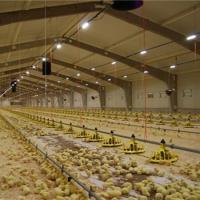 China 400kg/H Poultry Farming Equipment For Broilers Products for sale
