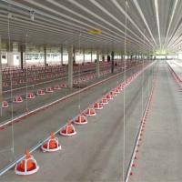 China 400kg/H Poultry Farming Equipment For Broilers Products for sale