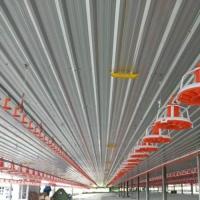 China Poultry Farm Auto 380V Chicken House Equipment for sale