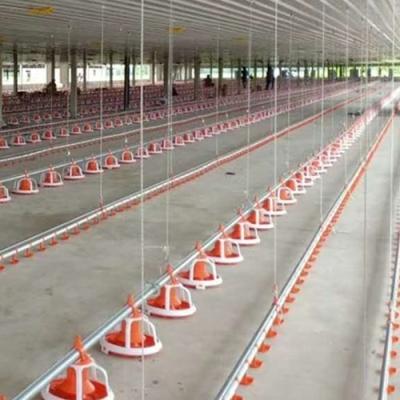China Poultry Farm Auto 380V Chicken House Equipment for sale