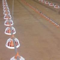 China Closed House Chicken 20T Poultry Farm Equipment for sale