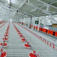 China PVC Broiler Breeder Farms Poultry Slat Flooring for sale