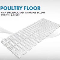 China Durable Chicken Duckling Poultry Slat Flooring for sale