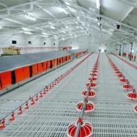 China Chicken 20X26mm Goat Farm Plastic Slatted Flooring for sale
