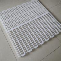 China 100% Pure PP Broiler 40mm Slatted Floor System In Poultry for sale