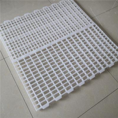 China 100% Pure PP Broiler 40mm Slatted Floor System In Poultry for sale