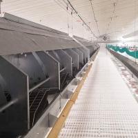 China 100% Pure PP Broiler 40mm Slatted Floor System In Poultry for sale