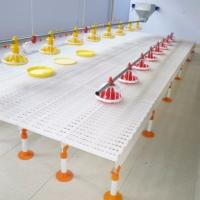 China Chicken Farm Plastic Slatted Flooring For Sheep for sale