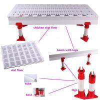 China Chicken Farm Plastic Slatted Flooring For Sheep for sale