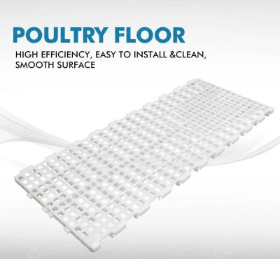 China 1200*500*40mm Poultry Slat Flooring for sale