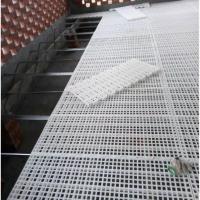 China Grating Shed Mesh Plastic Slatted Floor For Poultry for sale