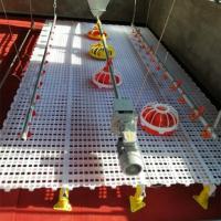 China 25*20mm Slat Flooring For Poultry for sale