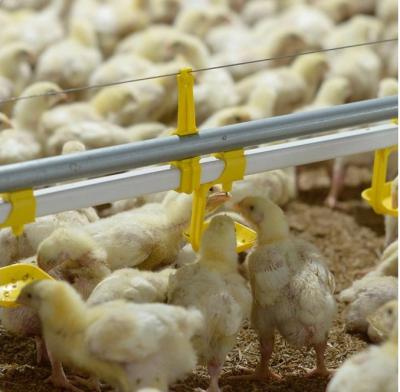 China 100mm Chicken Nipple Drinker System for sale