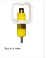 China Automatic Square Pipe 22cm*22cm Nipple Drinkers For Broilers for sale