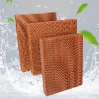 China Agrifan Greenhouse Farm Evaporative PVC Poultry Cooling Pad for sale