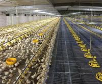 China 150m Grow Room Environment Controller for sale