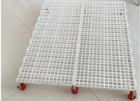 China Chicken Plastic Dung Board Poultry Slat Flooring for sale