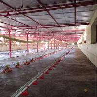 China Poultry Farm Automatic Chicken Drinkers And Feeders for sale