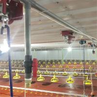 China Poultry Farm Automatic Chicken Drinkers And Feeders for sale