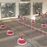 China 20 Birds/M² 300g Automatic Pan Feeding System for sale