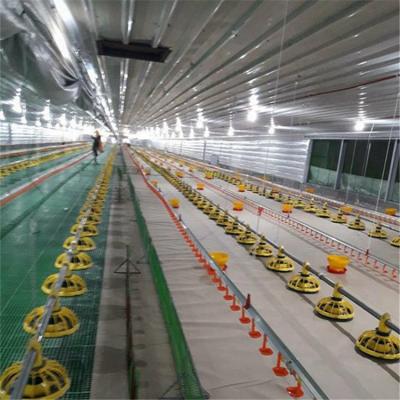 China Automatic Chicken Feeder System Broiler Poultry Equipment for sale