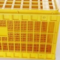 China 10 Chicken Plastic 12.25 Inches Detachable Poultry Transport Cage for sale