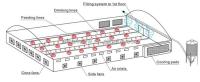 China 150kg Poultry Feed Line Automatic Broiler Feeding System for sale