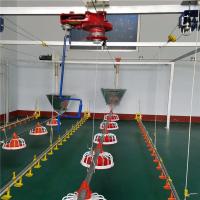 China Broiler Poultry Feeding Equipment For Chicken House for sale