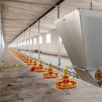 China Broiler Poultry Feeding Equipment For Chicken House for sale