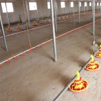 China Complete Auto Broiler Poultry Farm System For Chicken Water for sale