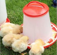 China Poultry Pan Bucket 3kg 6kg Plastic Chicken Feeder For Water Drinker for sale
