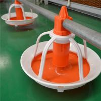 China Automatic 75-100cm Poultry Pan Feeding System For Ducks Drinker for sale